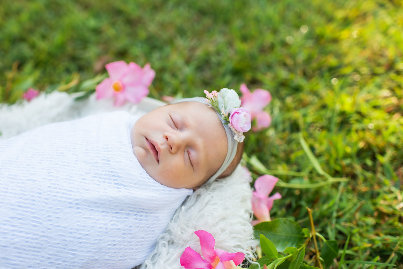 Kim Kinsella Photography