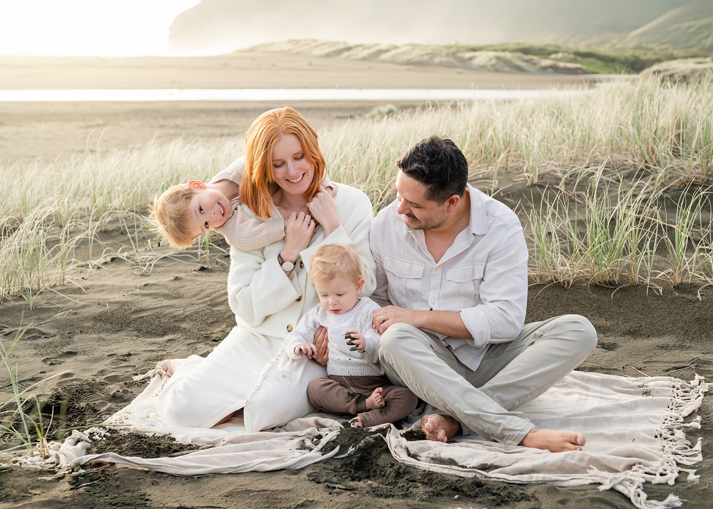 Wild Edelweiss Photography